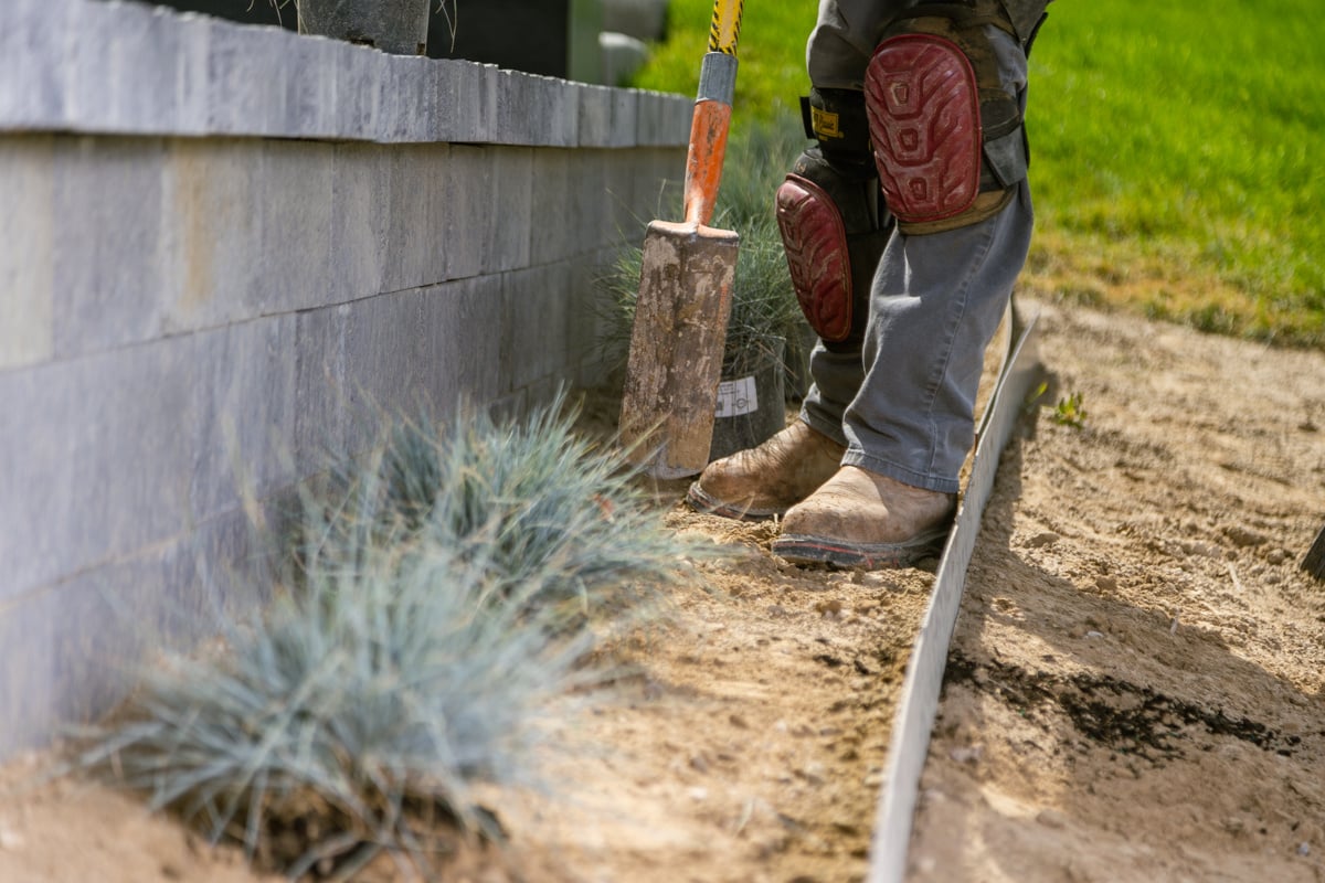 Landscaping Along a Fence: How to Design Great Buffer and Border Plantings