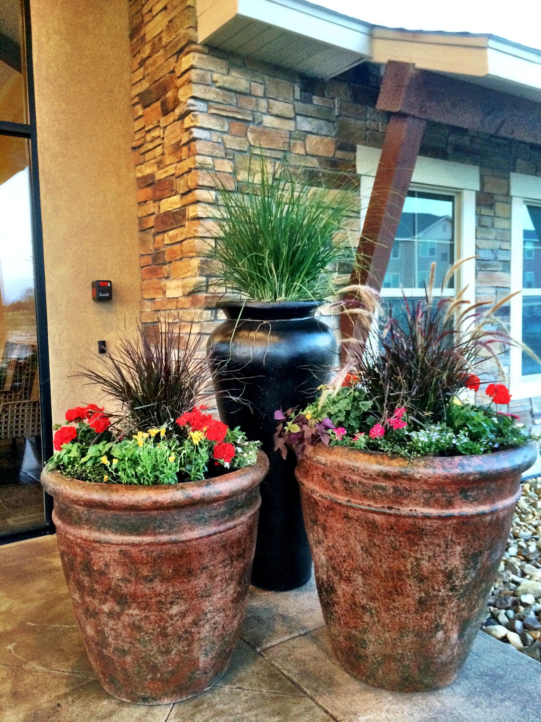 What Are The Best Large Decorative Pots And Containers For Commercial ...