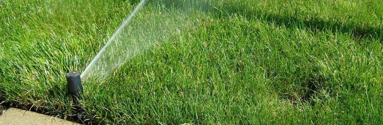 Sprinkler System Troubleshooting — 5 Signs Of A Faulty System