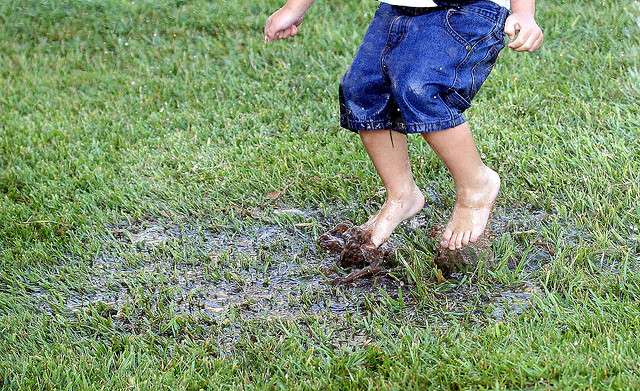 7 Ways To Deal With A Water-Damaged Lawn