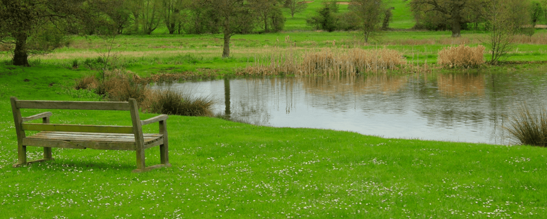 Is Your Landscape Boring? Answer 5 Quick Questions To Find Out