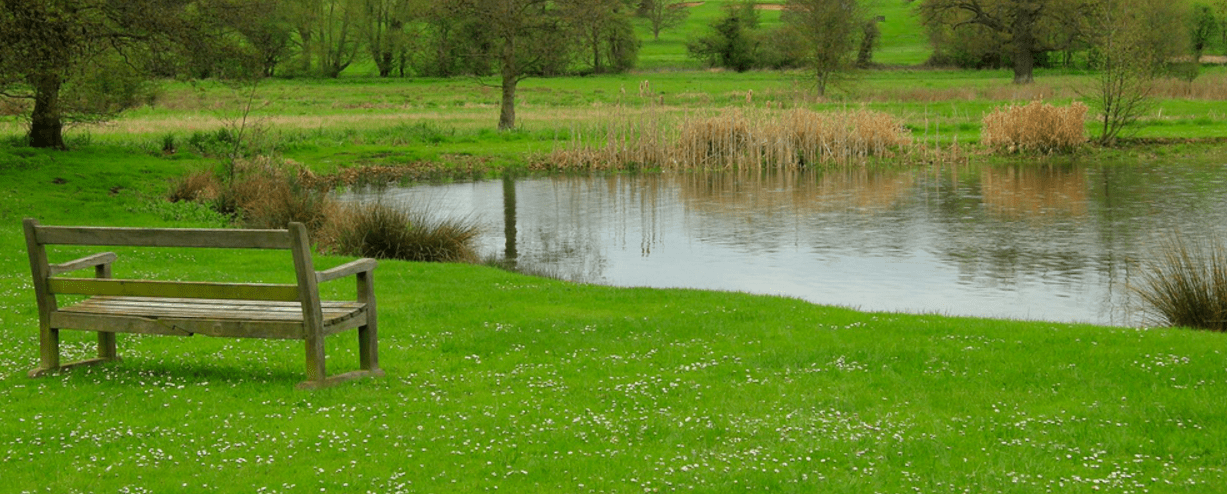 Is Your Landscape Boring? Answer 5 Quick Questions To Find Out